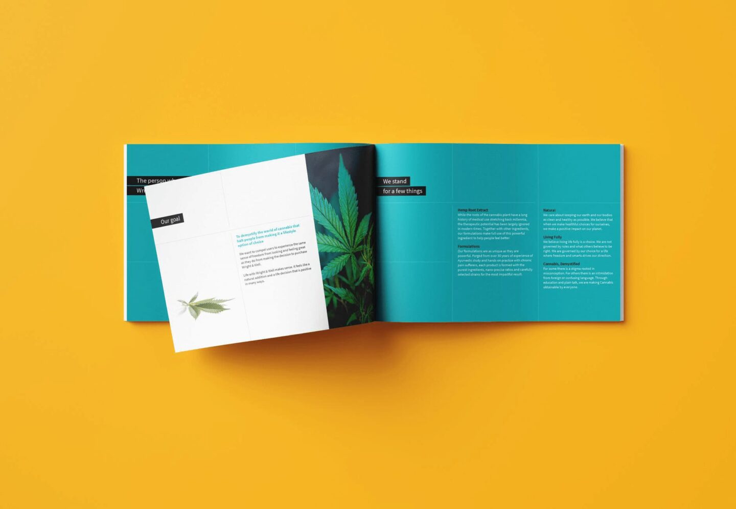 Wright & Well brand identity development - Karizma Brands